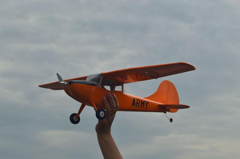 Tony Ray Cessna L-19 Bird Dog 750mm [kit-to-build] TRPFS031, Model Shop ...